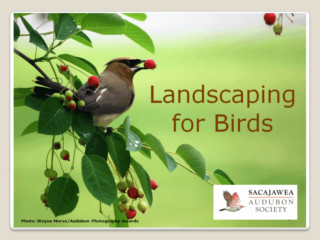 Bird-Friendly Landscaping - Sacajawea Audubon Society