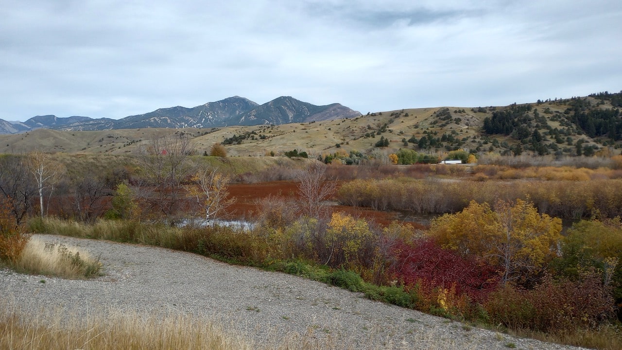 IAWP Update - December 2023 - Sacajawea Audubon Society